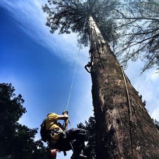 Geocaching Victoria | To hide is the beginning, to find is the result ...